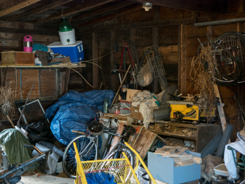 Why Hoarding is Dangerous for you - Pro Services